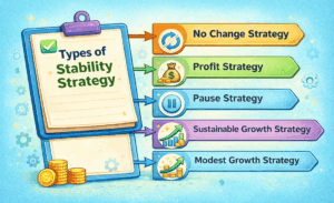 Stability Strategy: Definition, Types & Examples - Parsadi